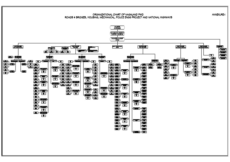 Npwd Org Chart 1 | PDF
