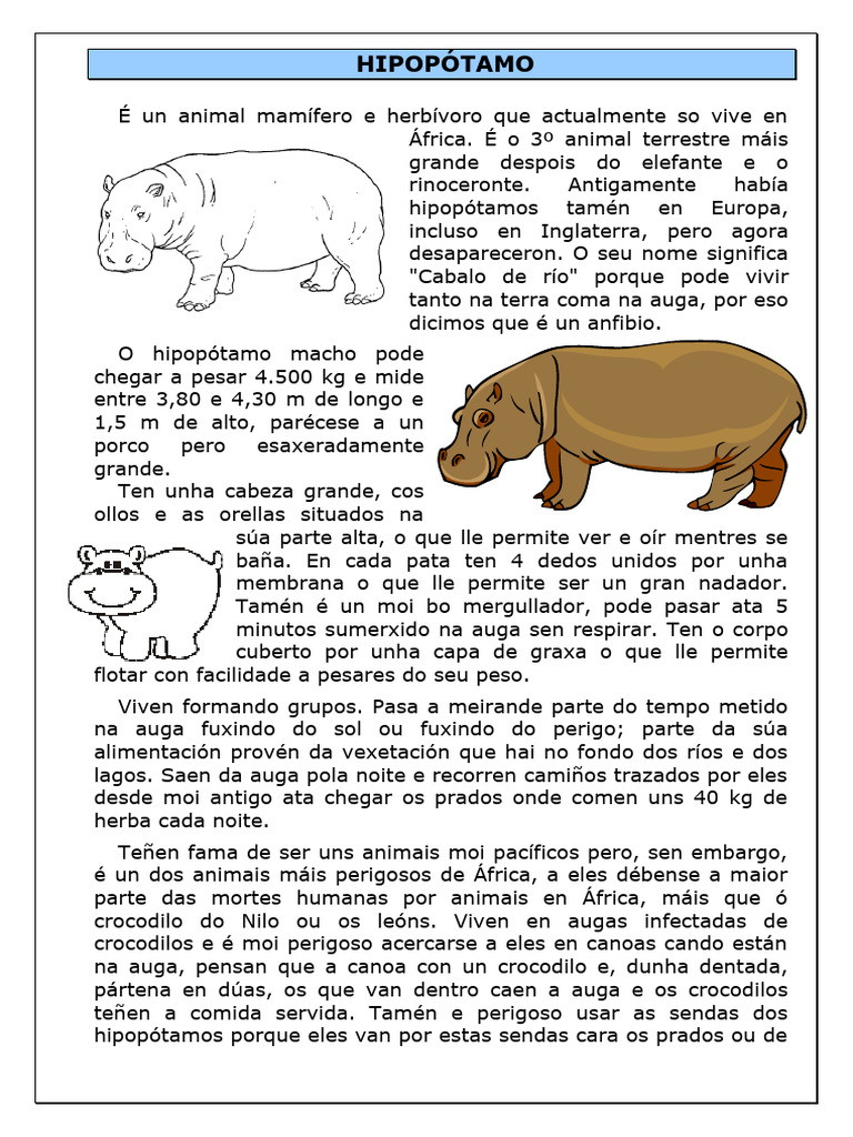 12 Hipopótamo | PDF