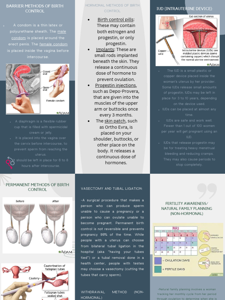 Green Olive Minimalis Modern Trip Promotion Trifold Brochure - 20240311 ...