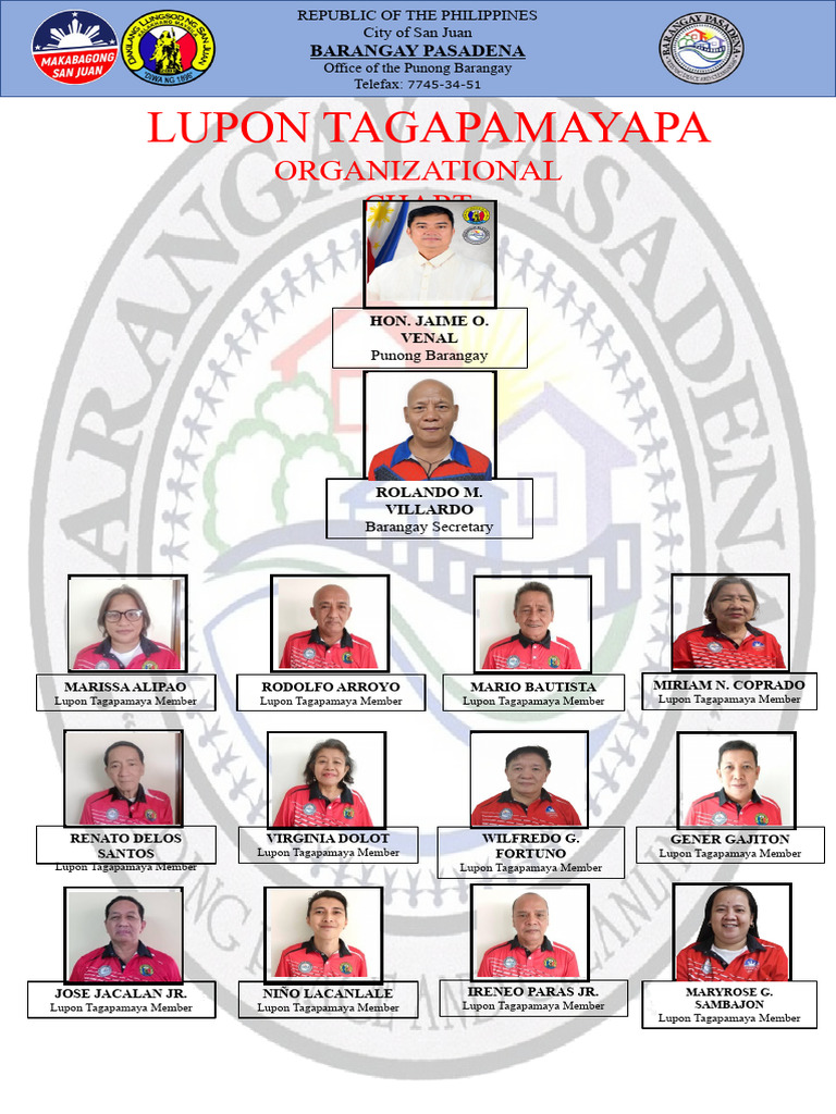 Lupon Tagapamayapa Organizational Chart | PDF