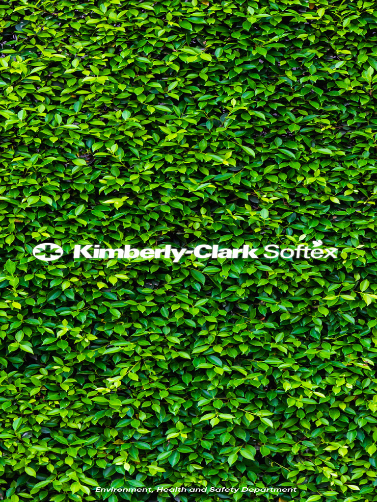 EHS - Safety Banner (80 × 160 CM) | PDF