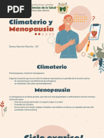 GPC Infeccion Vaginal Obstetrica | PDF | Parto prematuro | Candidiasis