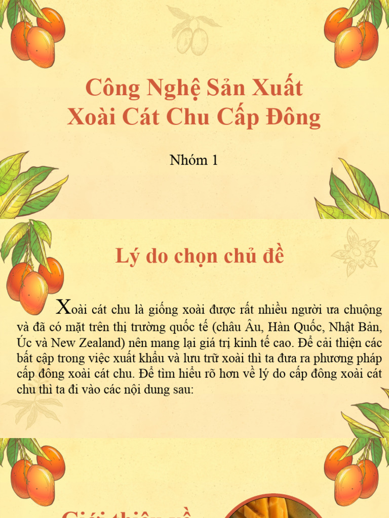 Xoài Cát Chu Đông L NH - Nhóm 1 | PDF