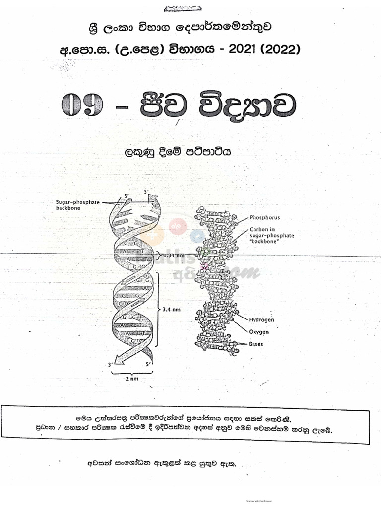 Advanced Level Biology 2021 Marking Scheme | PDF