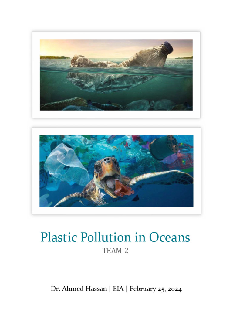 Impact of Plastic Pollution on Oceans | PDF | Pollution | Waste