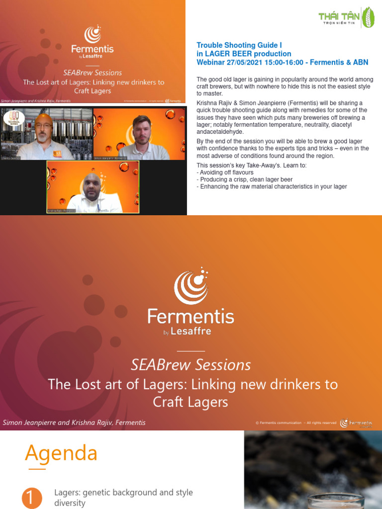 Fermentis - ABN Webinar On Lager Beer | PDF | Brewing | Beer