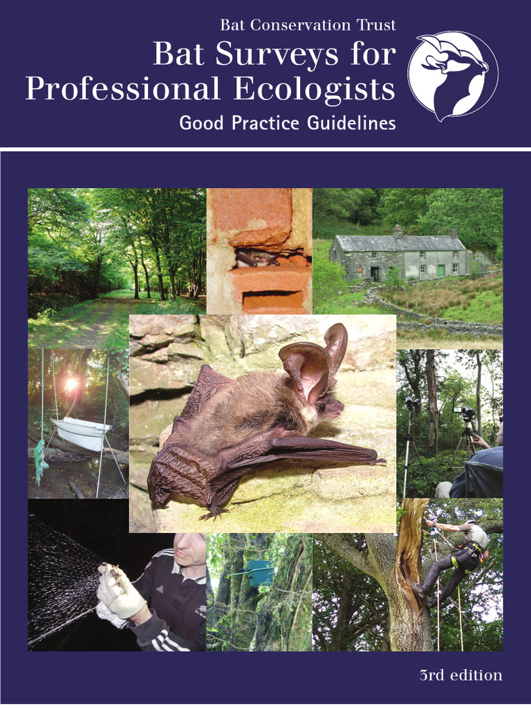 Bat Survey Guidelines 2016 NON PRINTABLE | PDF | Crimes | Crime & Violence
