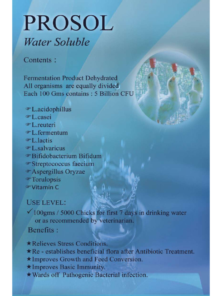 Company brouchure -4 | PDF