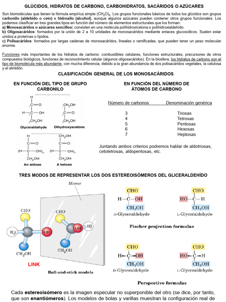 Tema 2. GlÃºcidos. CaracterÃ - Sticas Generales y Funciã N Biolgã Gica (2024) | PDF ...