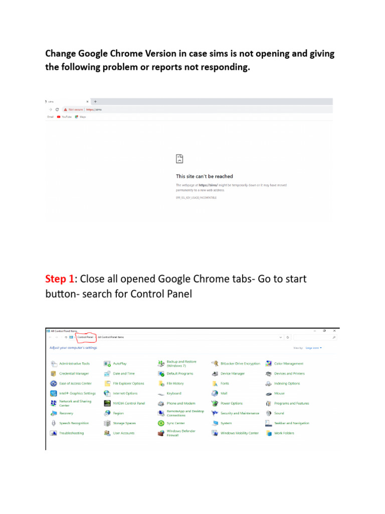 change google chrome version_ | PDF
