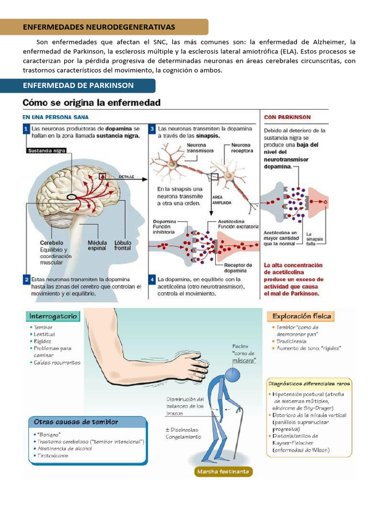 Tratamiento Farmacológico del Parkinson | PDF | Benzodiazepinas ...