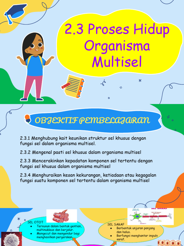 2.3 Proses Hidup Organisma Multisel | PDF