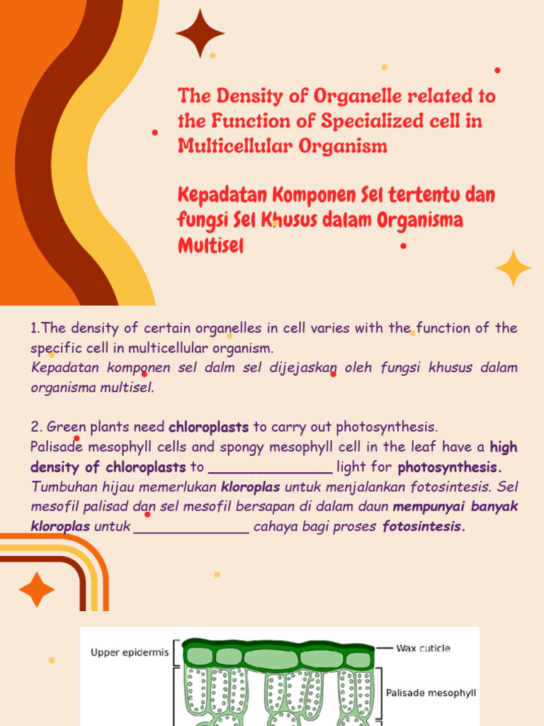1 The Density of Certain Organelles in Cell Varies With The Function | PDF