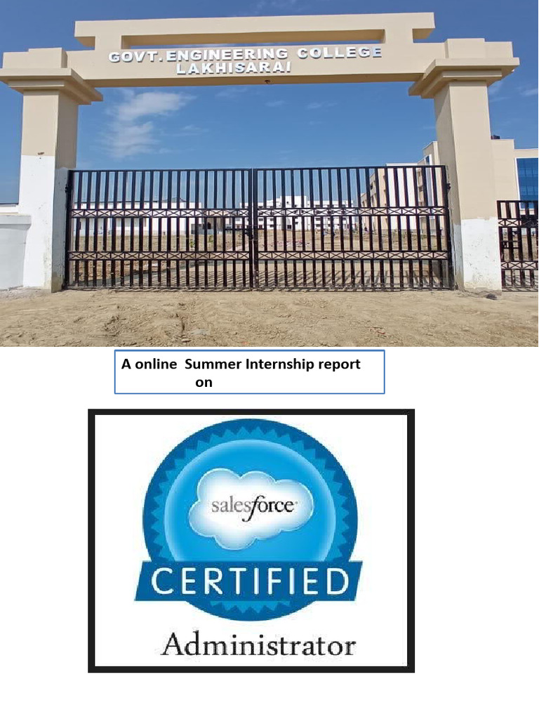 Salesforce Internship Report 240311 172941 | PDF | Customer Relationship Management | User ...