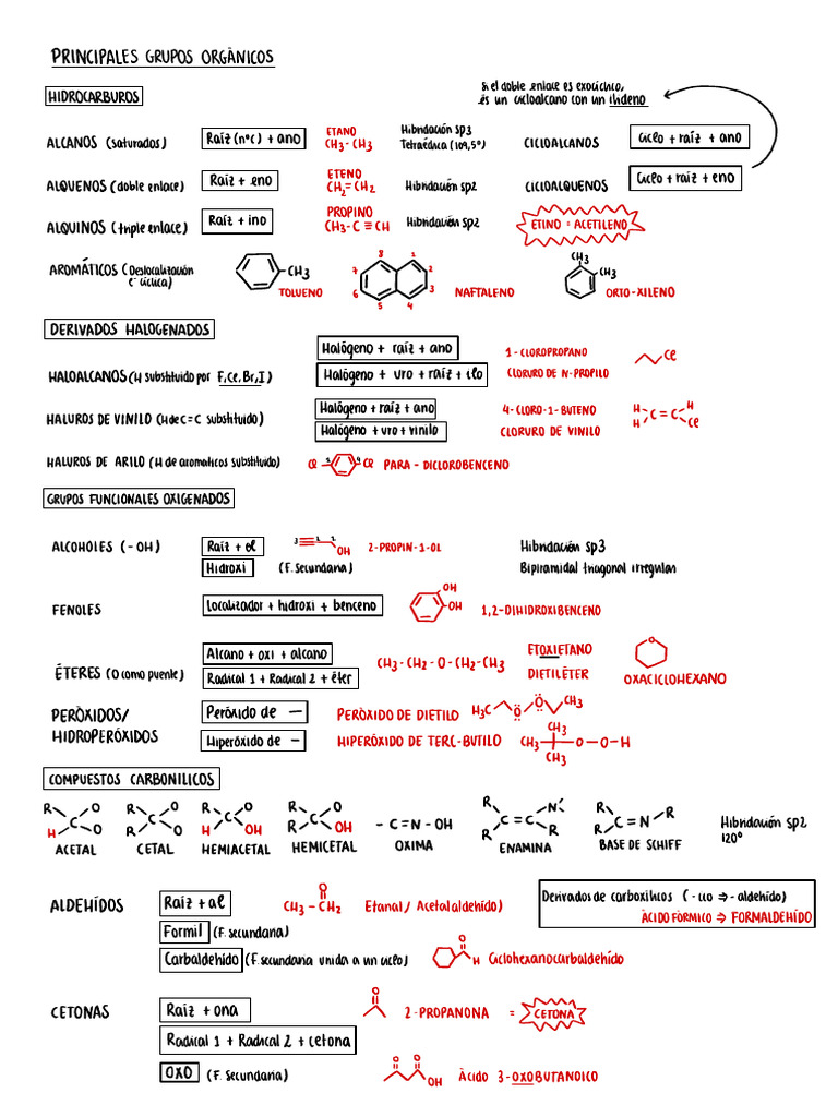 Wuolah Free Resumen Nomenclatura QOE Gulag Free | PDF | Alcano | Moléculas