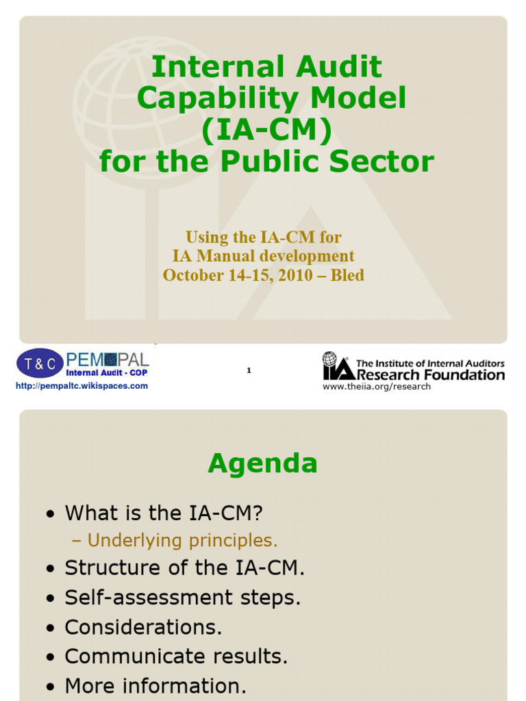 3_ia-cm-ia-manual-workshop | PDF | Audit | Internal Audit