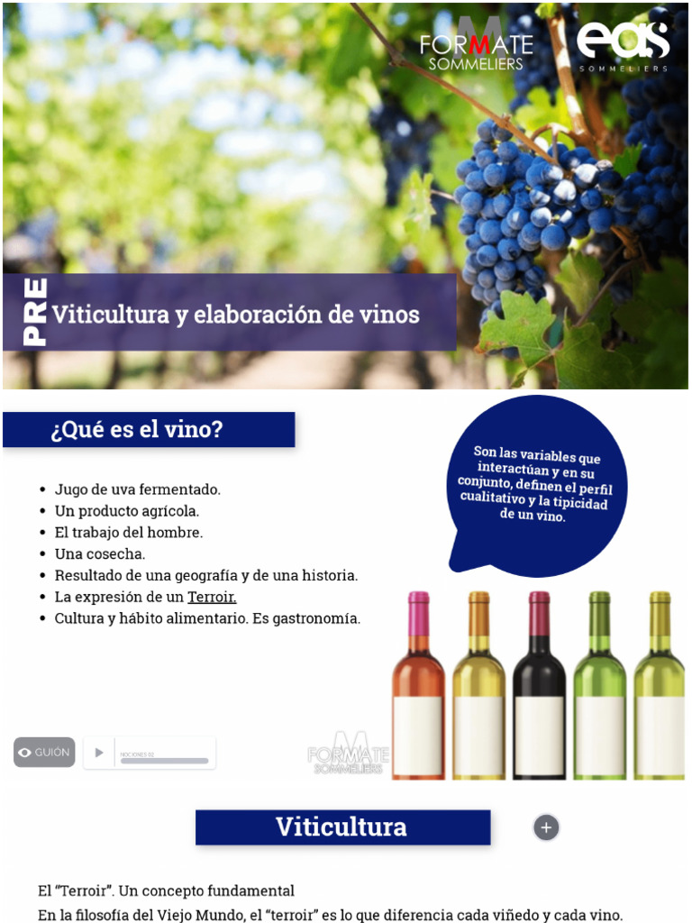 VITICULTURA Y ELABORACIÓN DE VINOS | PDF