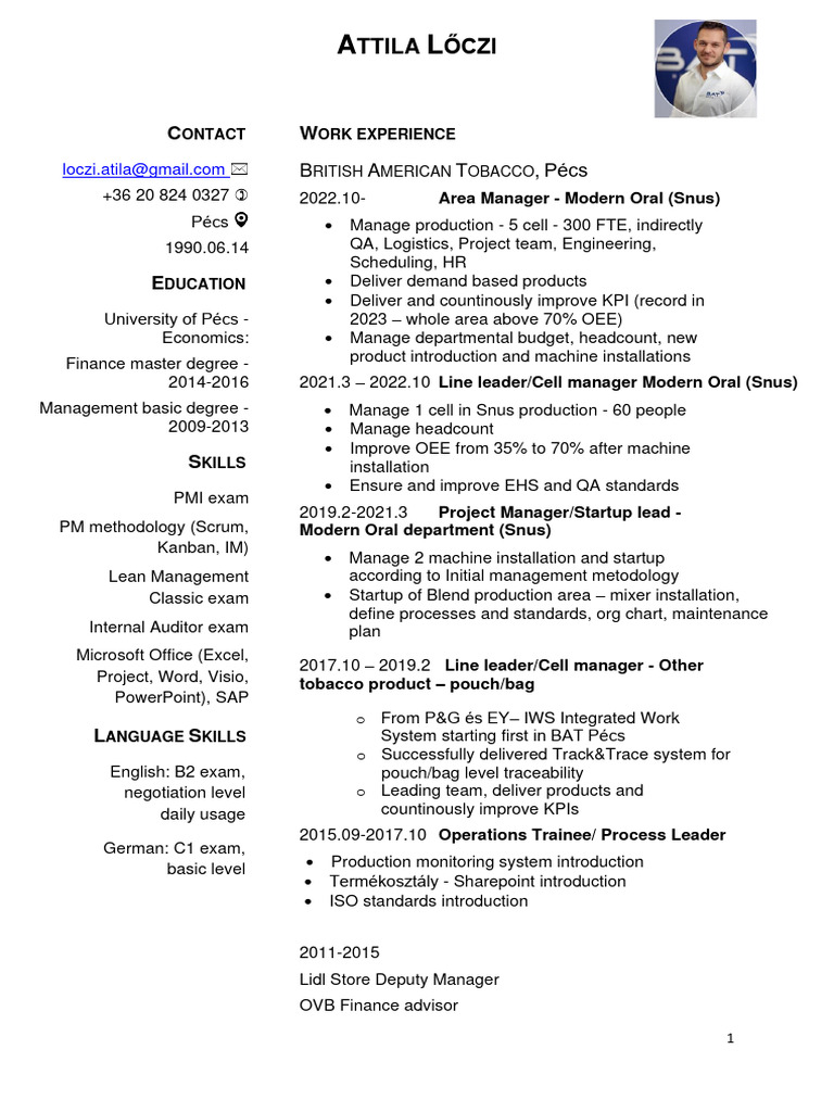 CV AttilaLoczi | PDF | Business | Computing