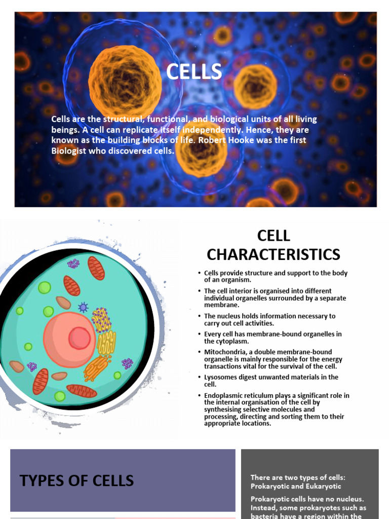 Cells | PDF | Cell (Biology) | Endoplasmic Reticulum