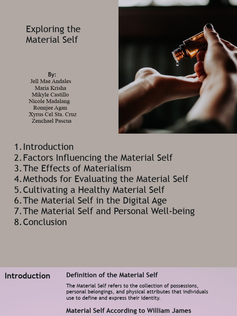 Material Self | PDF | Consumerism | Self