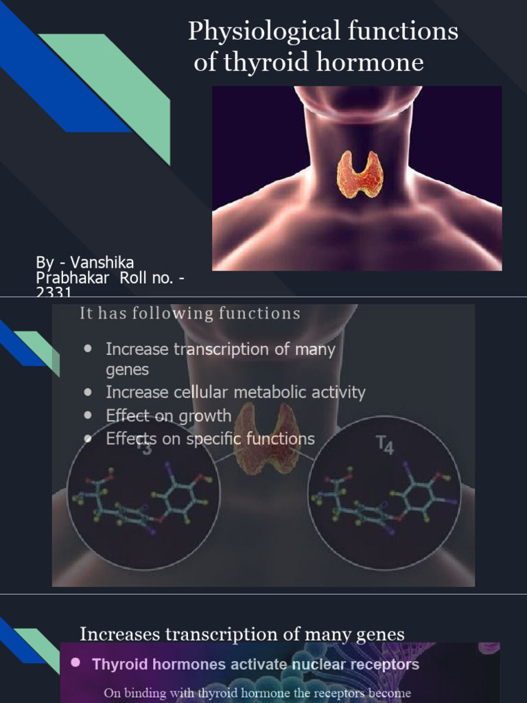 Physiological Functions of Thyroid Hormone | PDF | Hormone | Hyperthyroidism