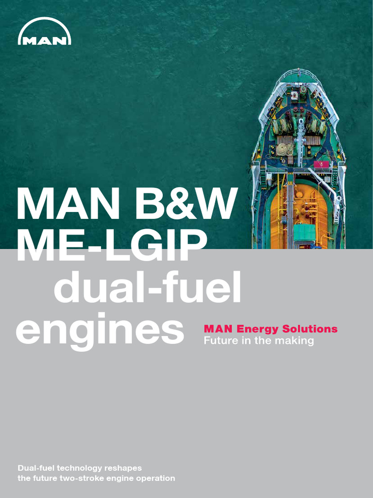 5510 0210 00ppr Man B W Me Lgip Dual Fuel Engines Web | PDF | Diesel ...