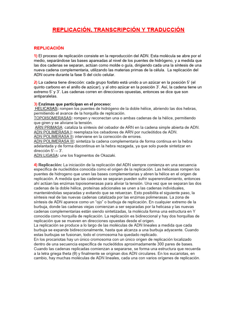 Replicación, Transcripción y Traducción | PDF | Replicación De Adn | Rna