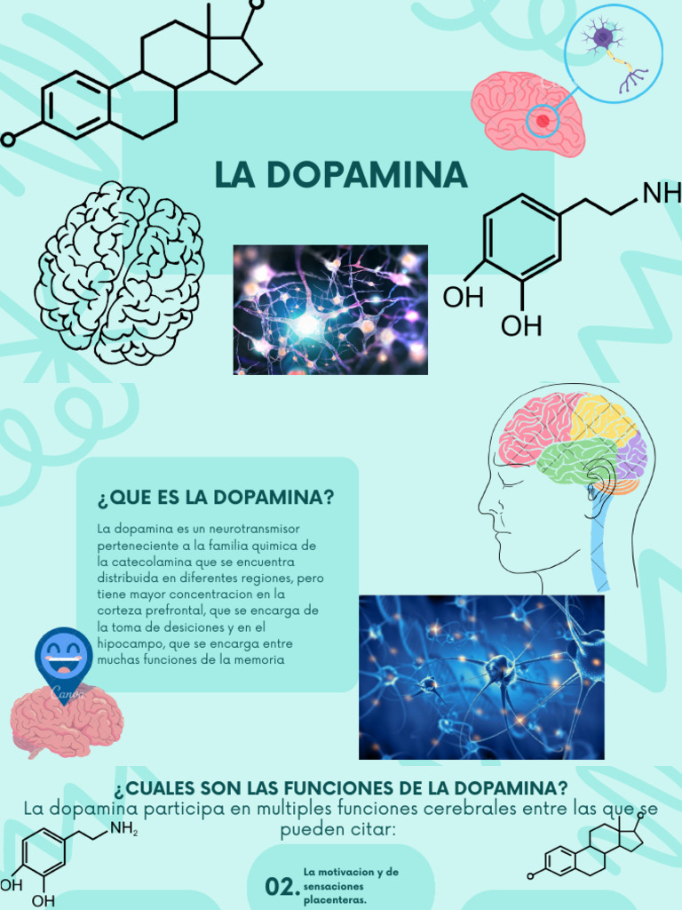 Dopamina | PDF | Dopamina | Esquizofrenia