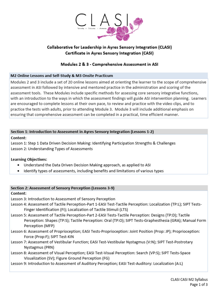 CLASI CASI M2: ASI Assessment Guide | PDF | Perception | Somatosensory System