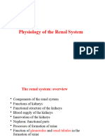 Renal Physiology | PDF | Kidney | Urinary System