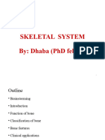 The Skeletal System Answer Key | PDF