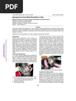 Pruritus Analog Scale 1 PVAS | PDF