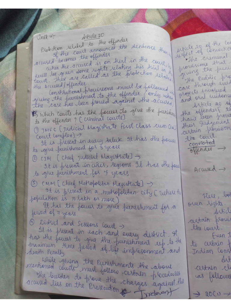 Constitution Unit 4 Written and Summarised Notes | PDF