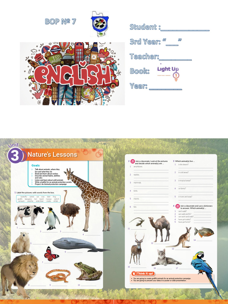 Ingles 3ro Bop 7 | PDF | Organisms