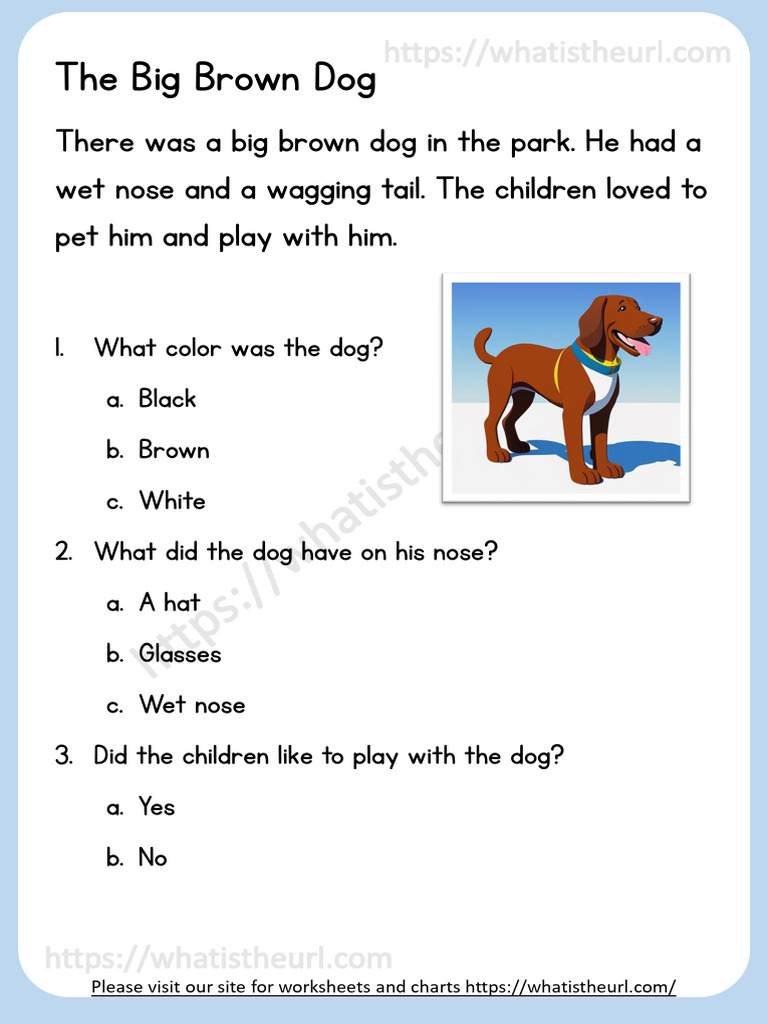 The Big Brown Dog and A Happy Bunny Reading Comprehension For Kindergarten | PDF | Home & Garden