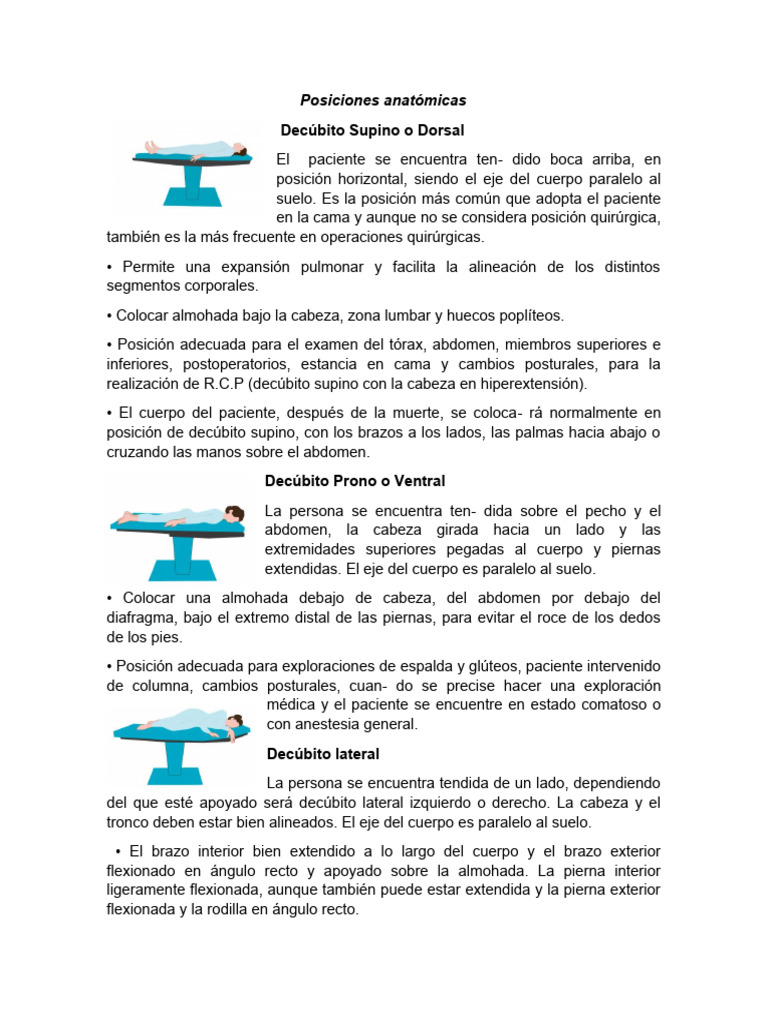 Posiciones Anatómicas | Descargar gratis PDF | Términos anatómicos de ...