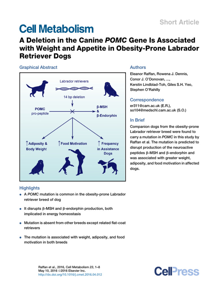 Raffan Et Al. 2016 | PDF | Zygosity | Mutation