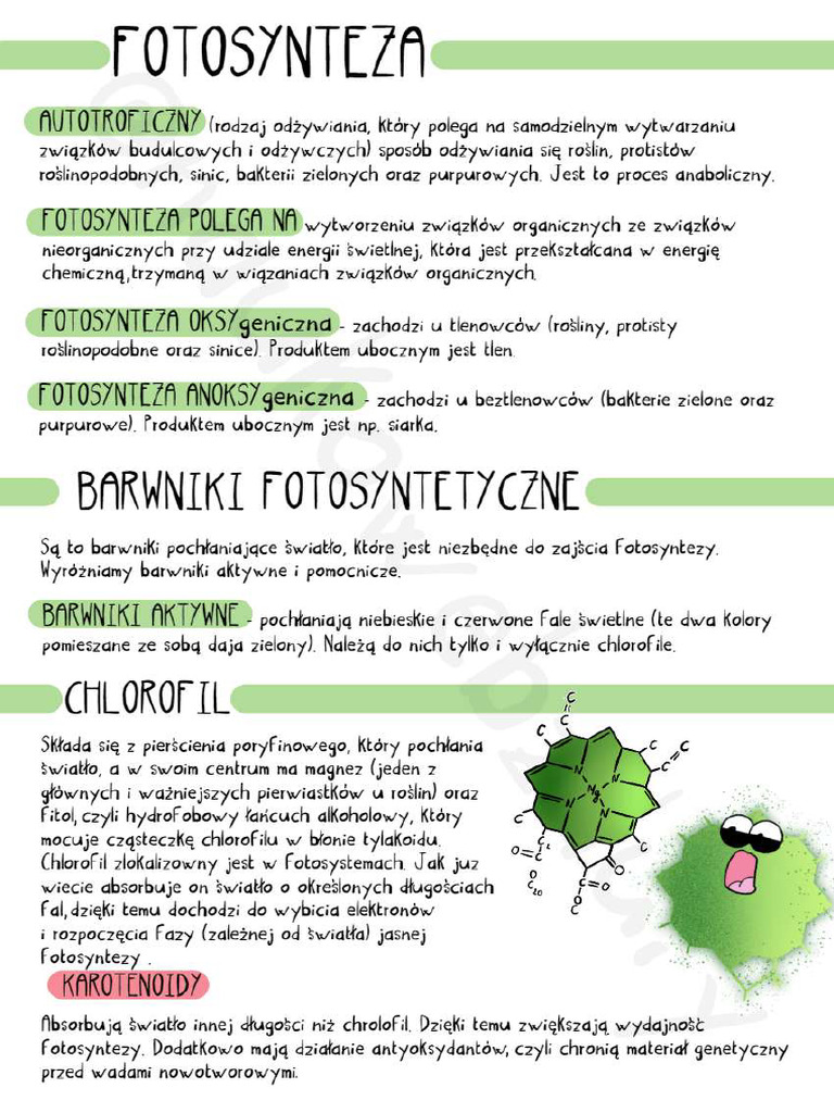 Notatki Fotosynteza | PDF