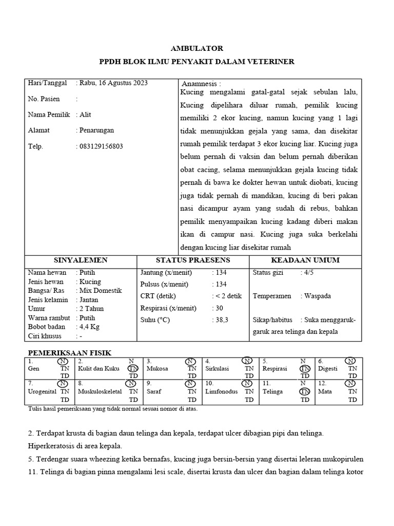 Ambulator Putih | PDF