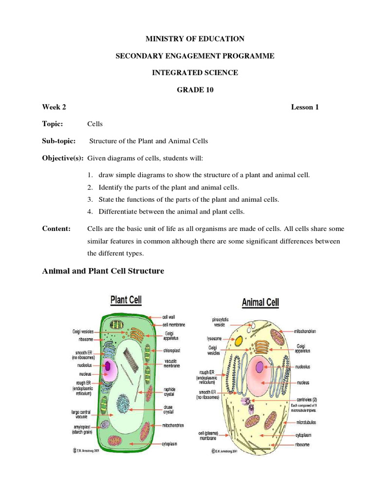 Grade 10 Integrated Science Week 2 Lesson 1-1 | PDF