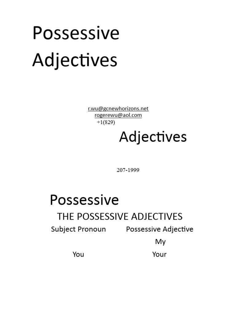 02 - Possessive Adjectives and Possessive Case | PDF