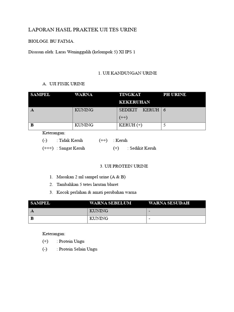 Laporan Hasil Praktek Uji Tes Urine - 2 | PDF