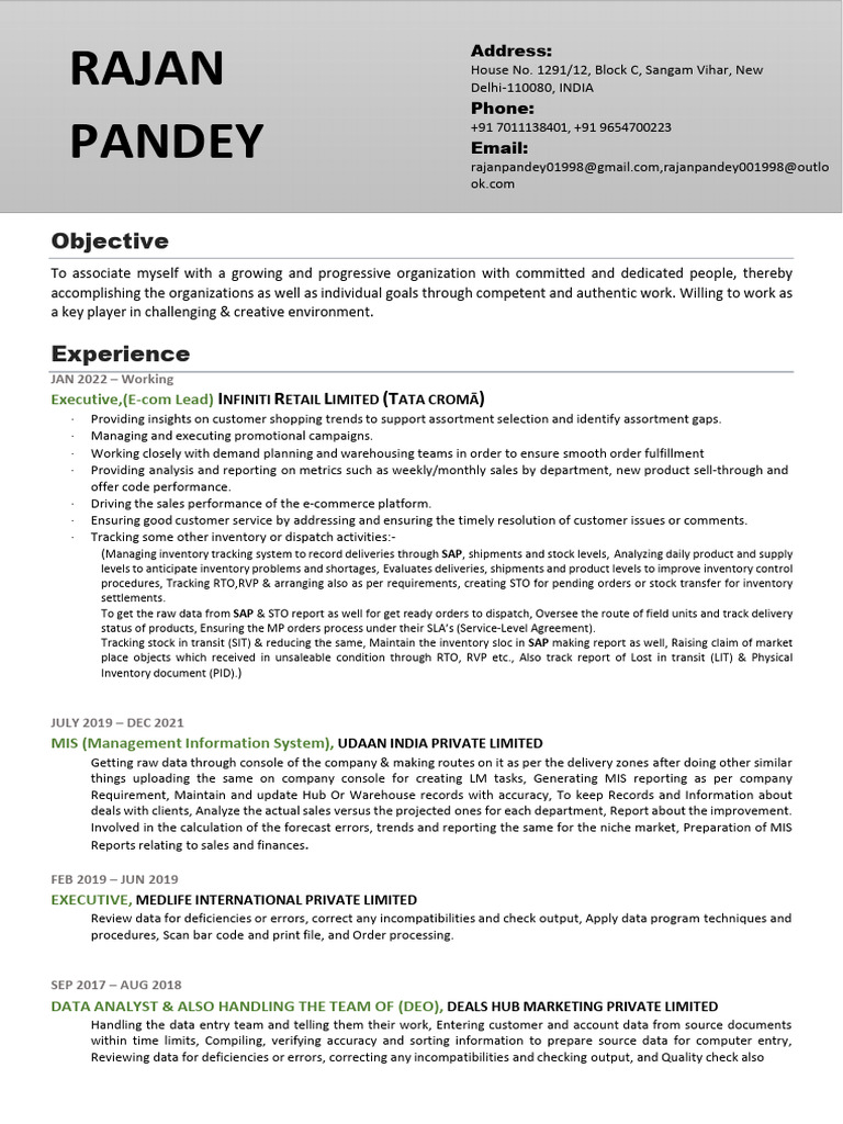 Rajan Pandey Resume | Download Free PDF | Spreadsheet | Information ...