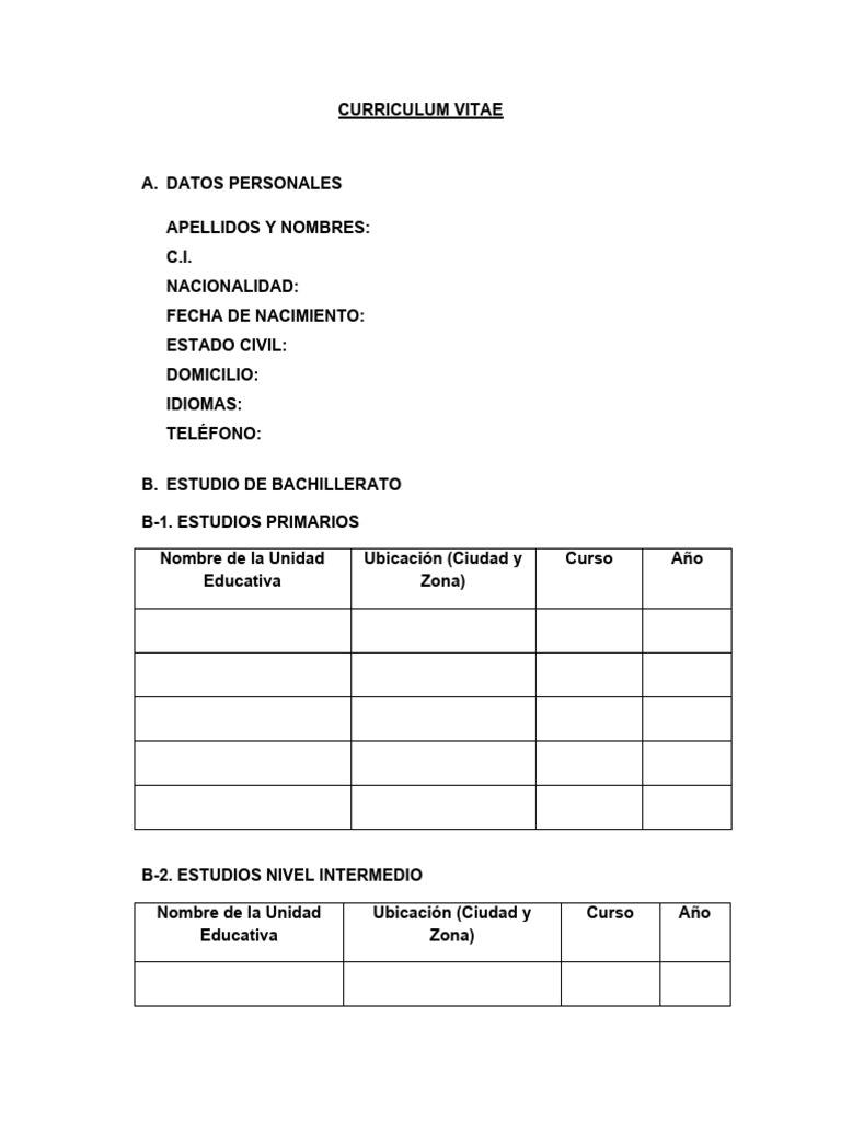 Modelo Curriculum | PDF