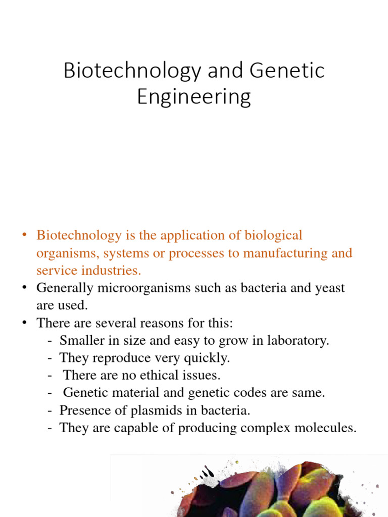 Biotechnology And Genetic Modification Pdf Genetic Engineering