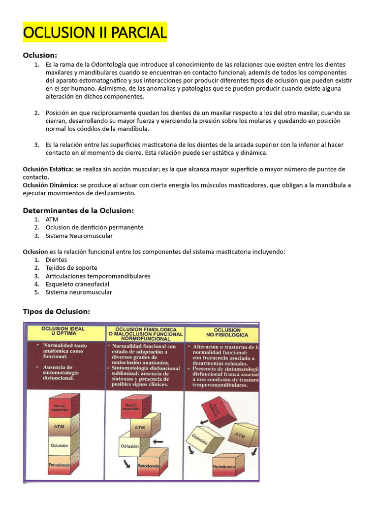 Oclusion II Parcial | PDF | Odontología | Diente