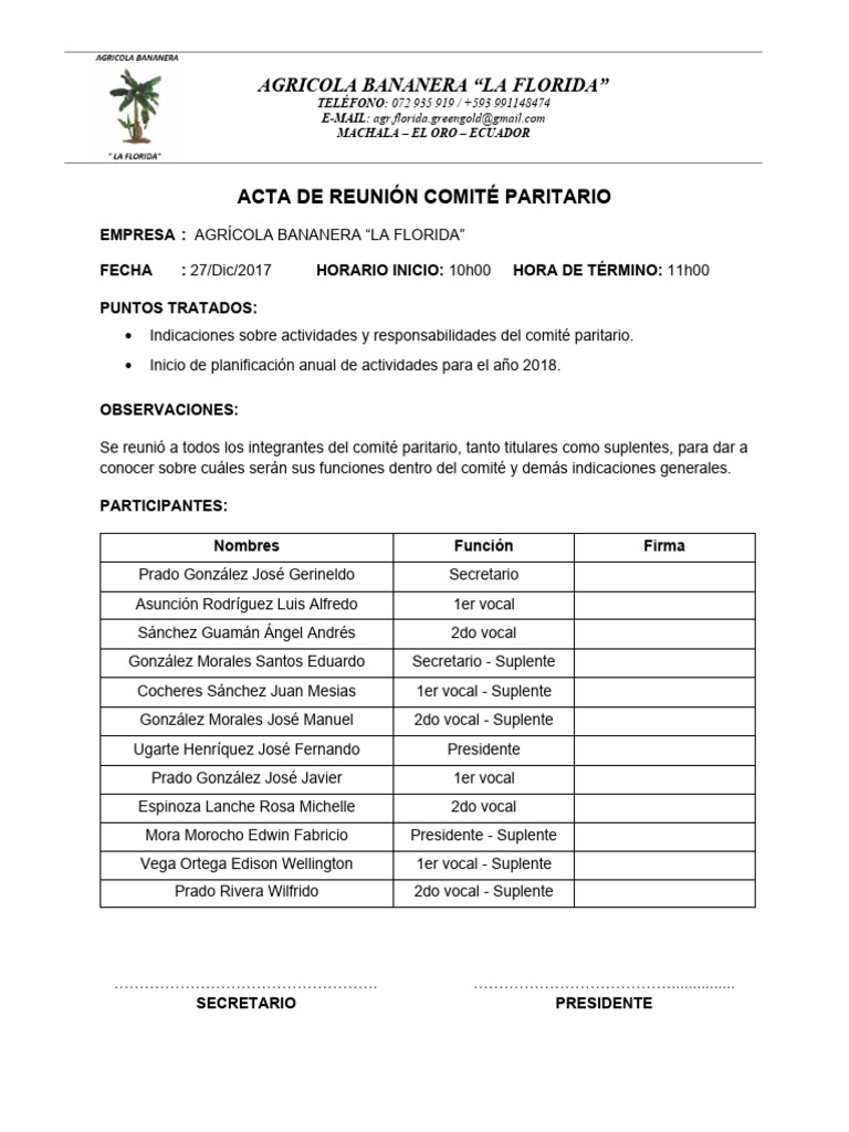 Modelo Acta de Reunión Comité Paritario | PDF