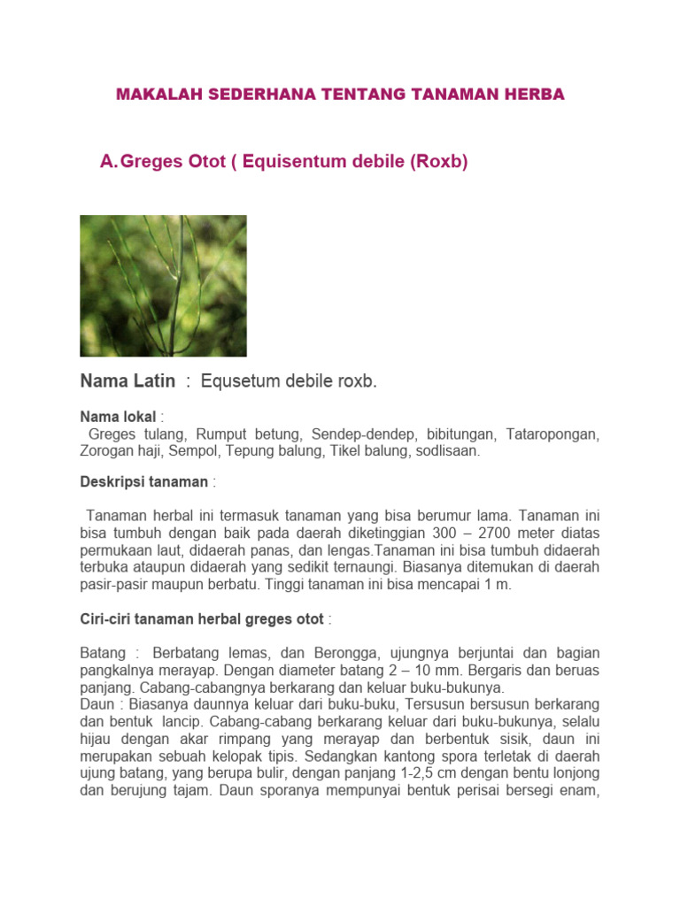 Makalah Sederhana Tentang Tanaman Herba 1 | PDF