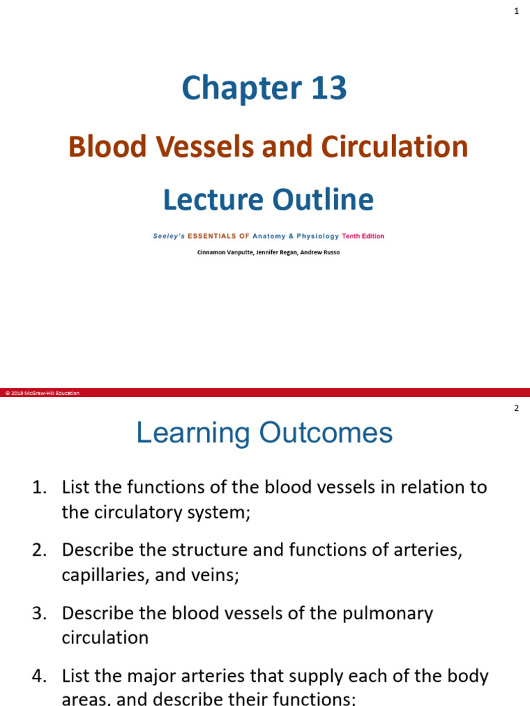 Blood Vessels and Circulation Overview | PDF | Aorta | Vein
