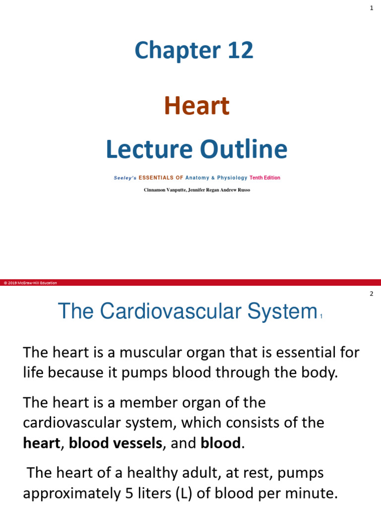 Chapter 12 Heart | PDF | Heart Valve | Heart